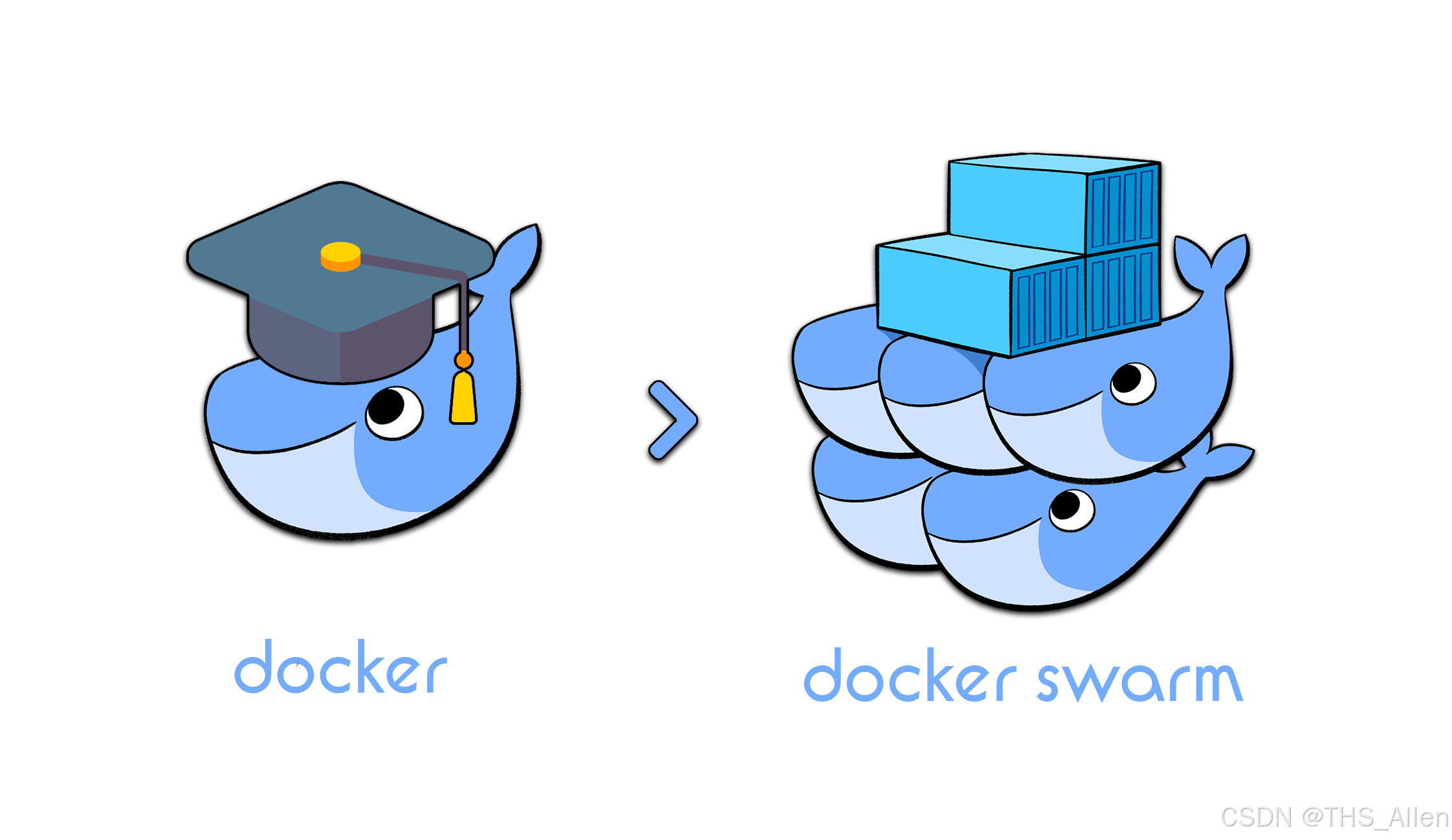 Docker Compose 与 Docker Swarm 深度解析:容器编排的双生引擎 Docker Compose Swarm Csdn博客
