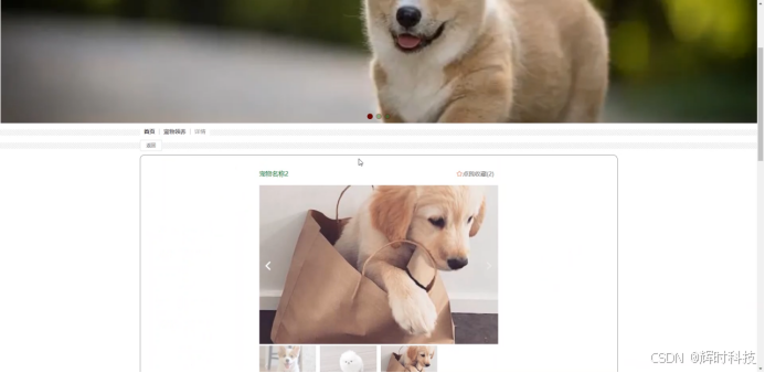 计算机毕业设计springboot基于的宠物领养管理系统 基于spring Boot的宠物救助与领养平台开发 Spring Boot驱动的宠物收容与领养管理系统设计 Csdn博客