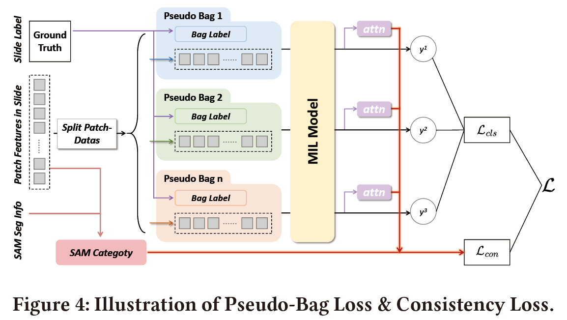 论文124：SAM-MIL: A spatial contextual aware multiple instance learning approach for WSI (MM‘24, 开源 ...