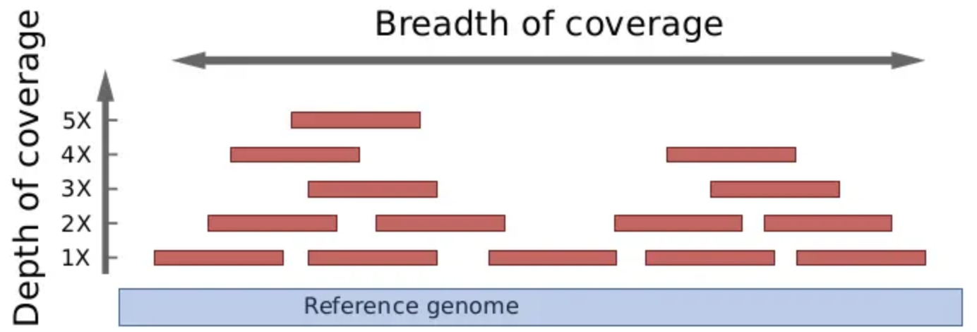 关于测序深度(sequencing Depth) 的一些学习_计算rnaseq的depth-CSDN博客