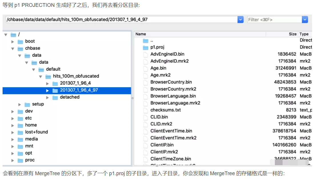 ClickHouse--20--Projection (投影)_clickhouse projection-CSDN博客