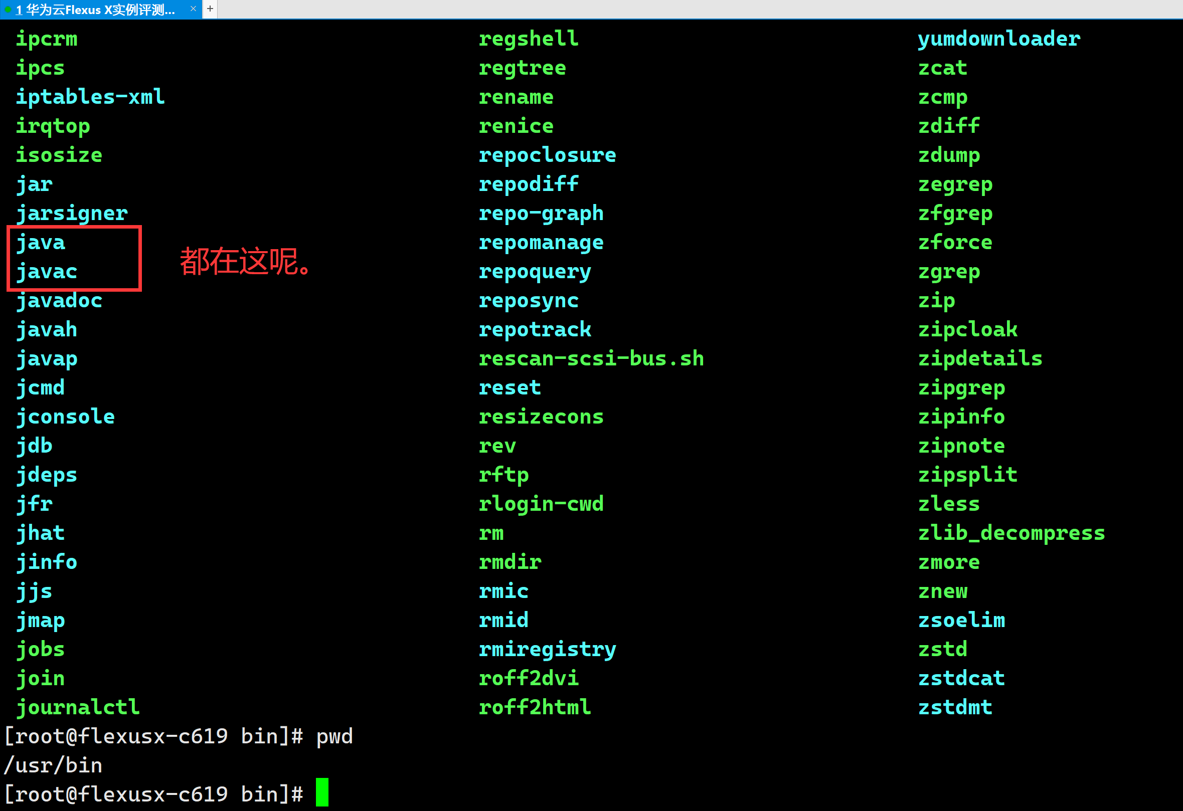 828华为云征文｜华为云Flexus X实例下的场景体验——小企业必备——JAVA环境搭建——保姆级教学_java1.8 华为-CSDN博客