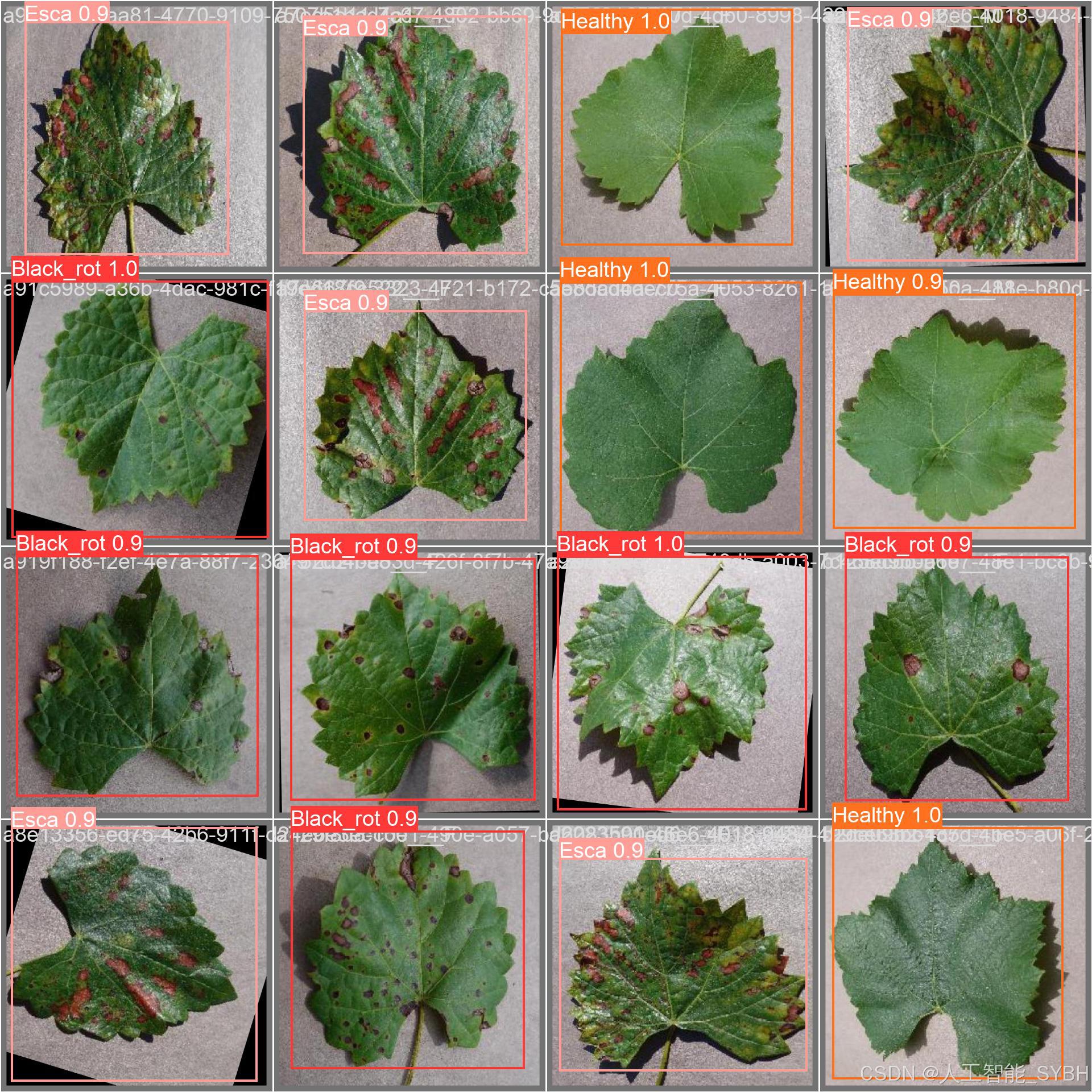 基于深度学习YOLOv10的葡萄叶片病害检测系统（YOLOv10+YOLO数据集+UI界面+Python项目源码+模型）_基于深度学习的葡萄叶部病害图像分类系统-CSDN博客