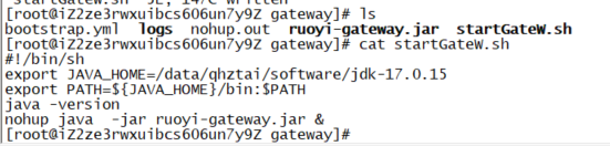 ruoyi(若依vue3 ) 整合 Spring AI Alibaba 实际应用(4) linux 环境 字体问题,jdk8和 jdk17共存问题_caused by: java.lang ...
