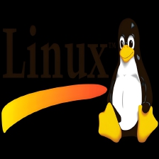 关于使用WindTerm进行Linux远程操控的教程_windterm ssh-CSDN博客