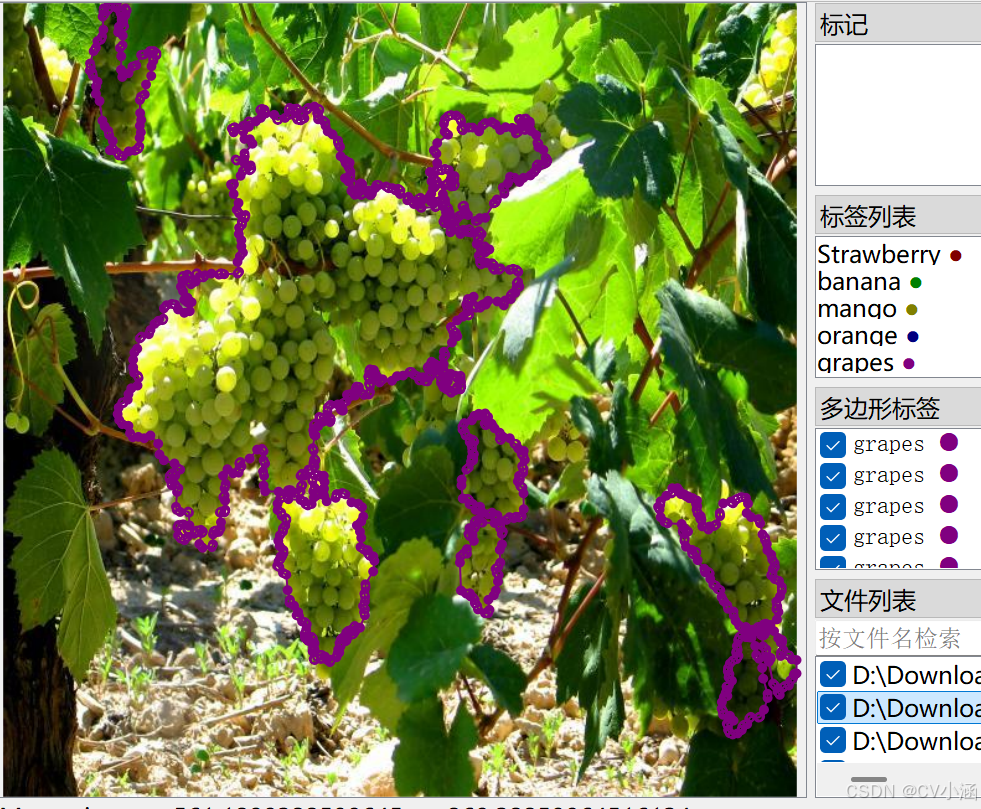 【数据集】【yolo】【实例分割】水果分类识别数据集 6227 张，yolo水果分类识别算法实战训练教程，yolo水果分类识别。水果数据集 Csdn博客