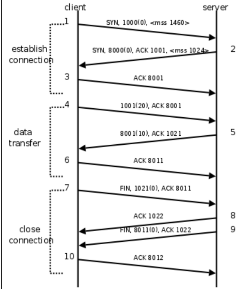 Linux - 网络编程Socket-CSDN博客