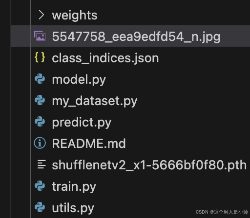 【Shuffle Net V2】精讲 (5) 【pytorch】完整可运行代码_shufflenet代码-CSDN博客