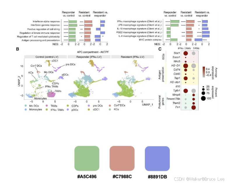 高质量论文配色（直接采用，比较方便）_cns配色-CSDN博客