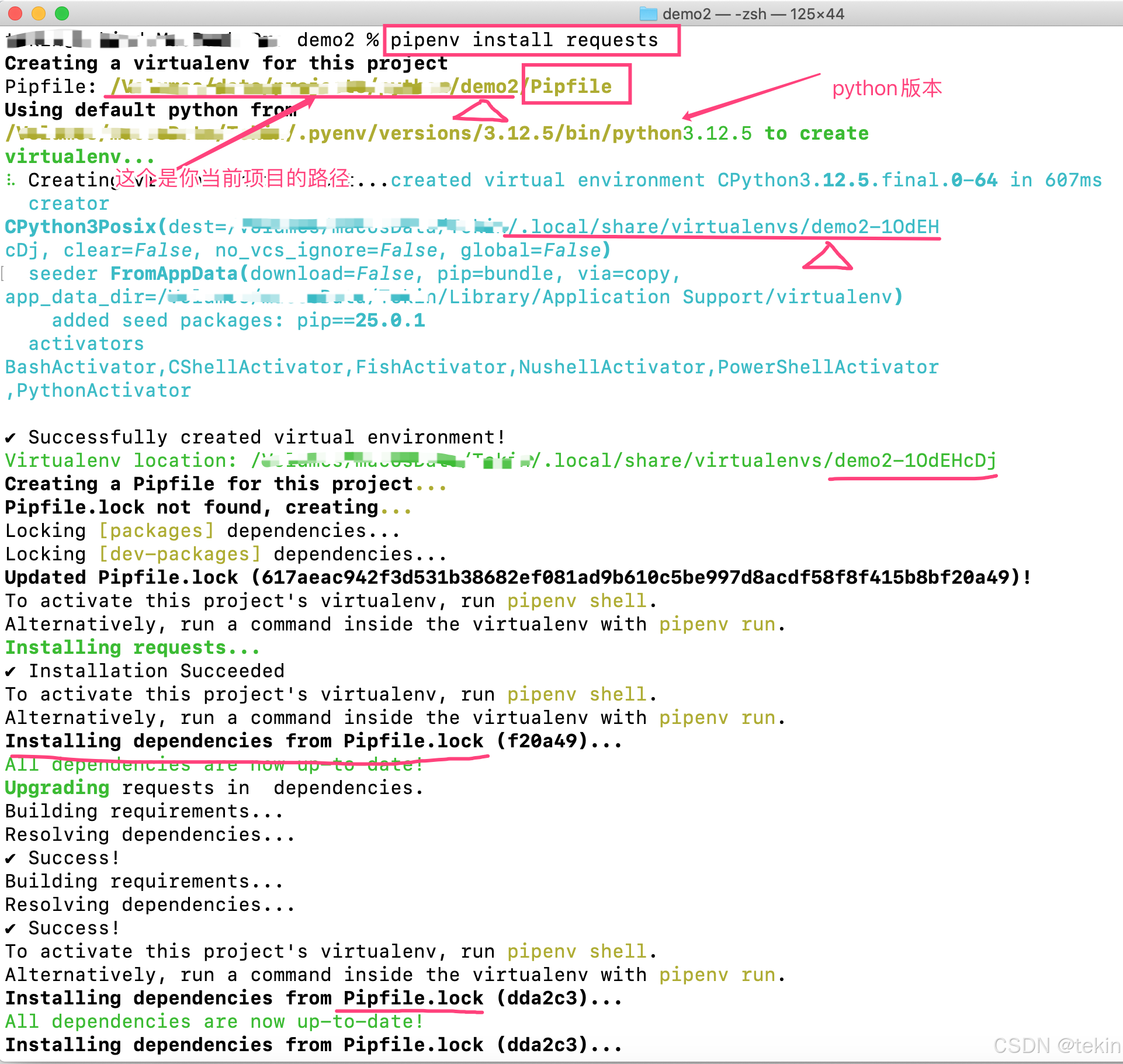 Python 项目依赖管理秘籍：Pipenv 实战与多工具解析_python pipenv-CSDN博客