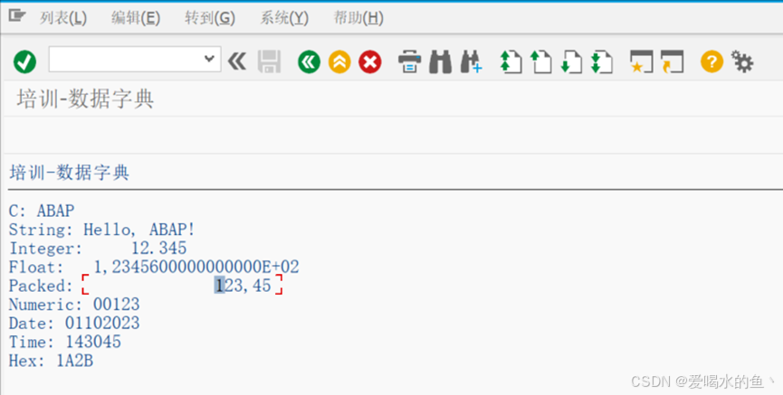 Sap Abap基本数据类型详解及示例abap String 存放多少字符 Csdn博客
