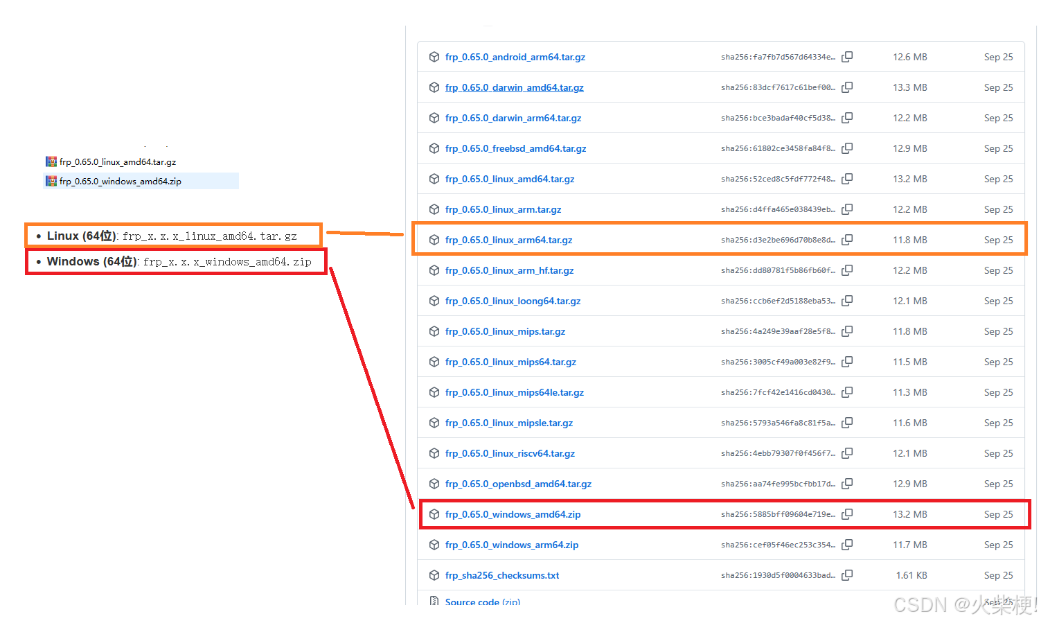 【Linux】【运维】---- 内网映射外网，FRP 安装与配置详解_linux frp-CSDN博客