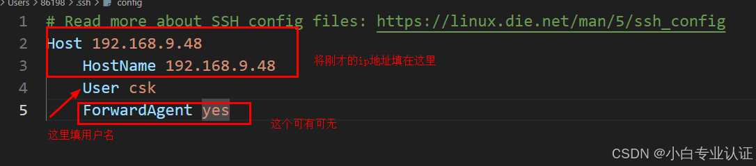使用VMware搭建Ubuntu虚拟机环境与本地VScode建立远程连接，搭建C语言环境_vscode vmware-CSDN博客
