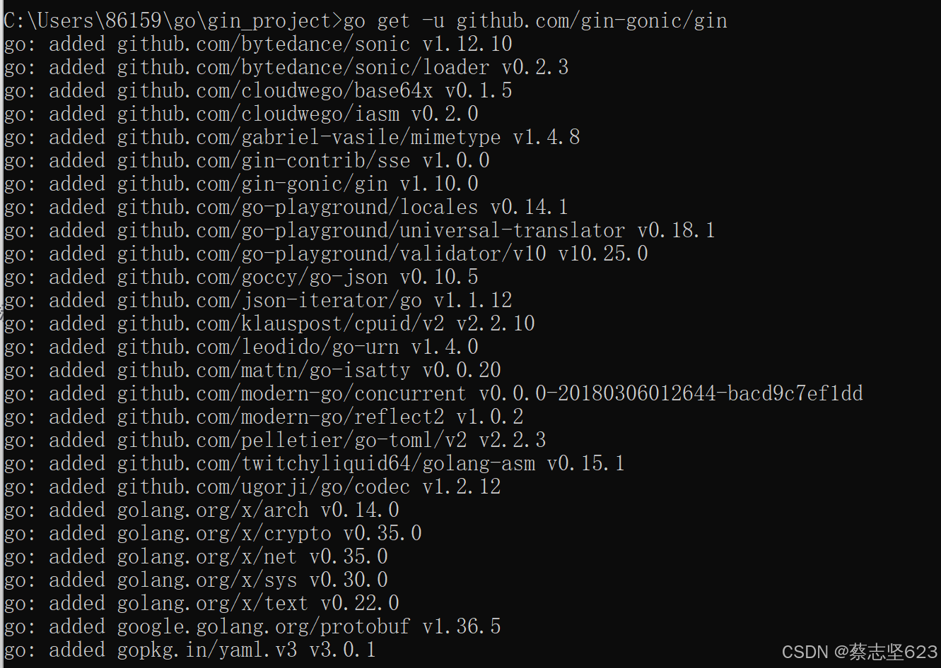 安装Gin框架-CSDN博客