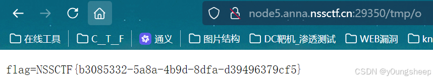 CTF-字符长度限制RCE(命令执行)_限制字符数rce-CSDN博客