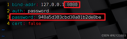 CodeServer+VSCodeSSH使用 全流程项_linux vscode code-server-CSDN博客