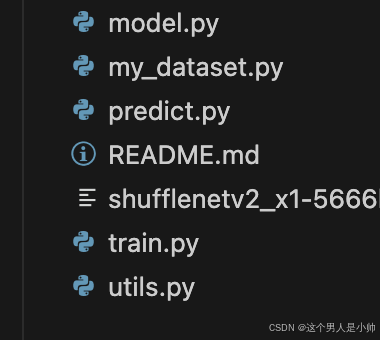 【Shuffle Net V2】精讲 (5) 【pytorch】完整可运行代码_shufflenet代码-CSDN博客