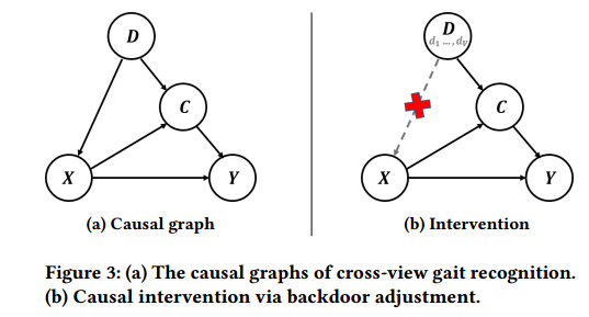【步态识别】GaitCSV（Causal Intervention for Sparse-View Gait Recognition）论文阅读-CSDN博客