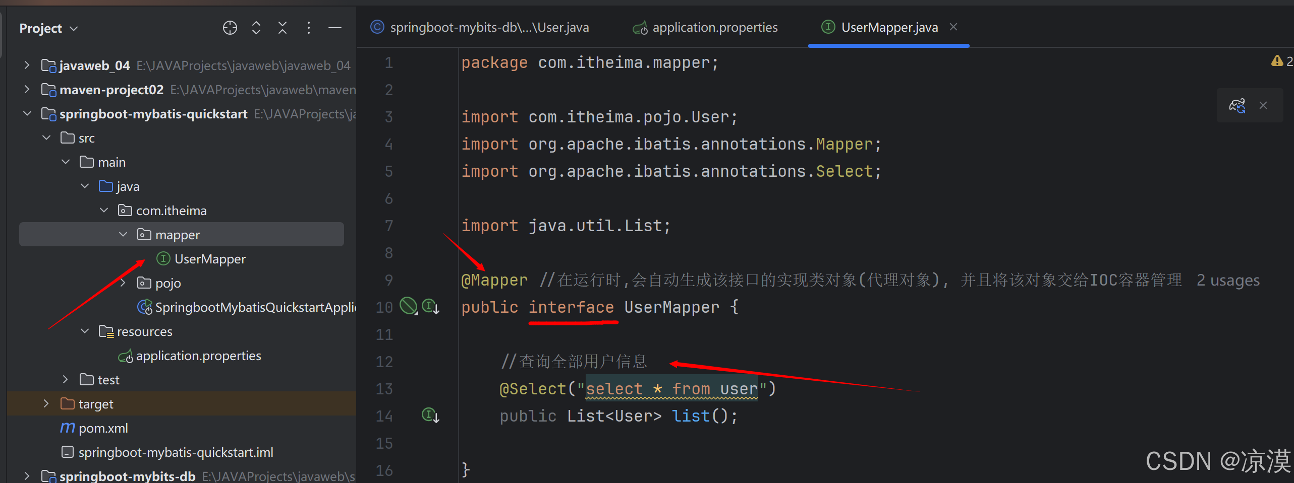Mybatis入门（day08）-CSDN博客