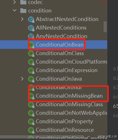 10、@Conditional注解-CSDN博客