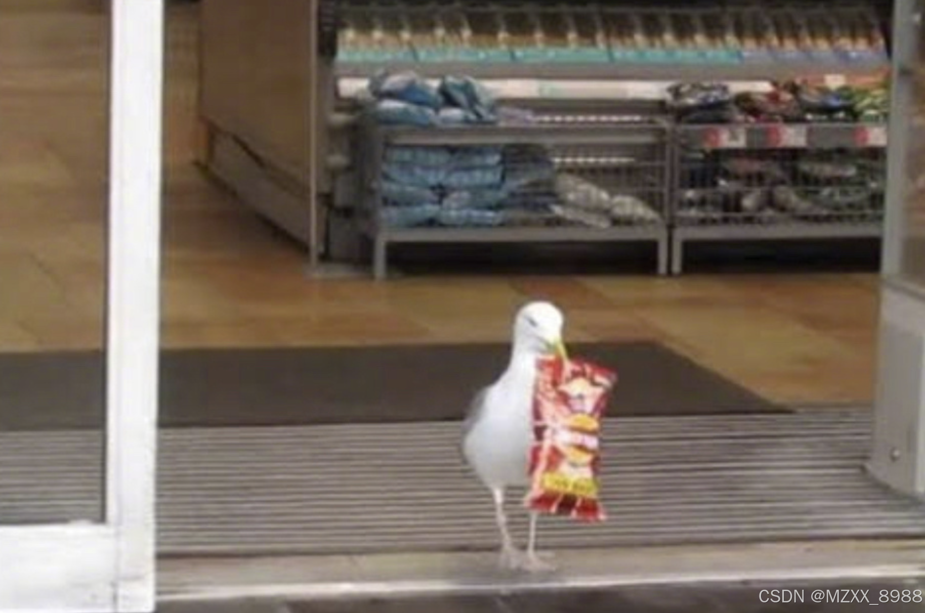 internlm_l2_InternVL 多模态模型部署微调实践_internlm2ve-CSDN博客