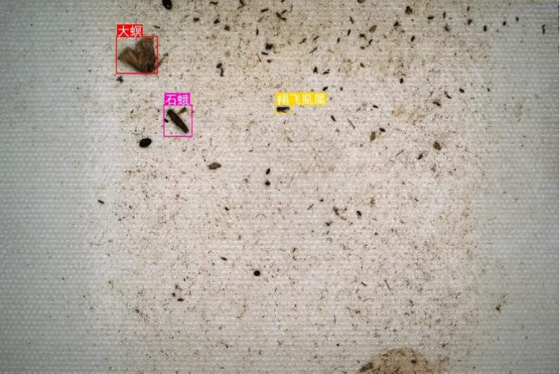 智慧农业领域 灯诱杀虫灯/虫情检测仪害虫检测数据集，大螟 稻纵卷叶螟)(地老虎白背飞虱 常见农业害虫检测数据集智慧农业、虫情自动识别、植保无 ...