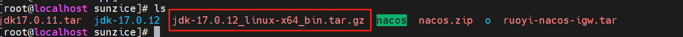 在Linux中安装配置Java17保姆级攻略_linux安装java17-CSDN博客