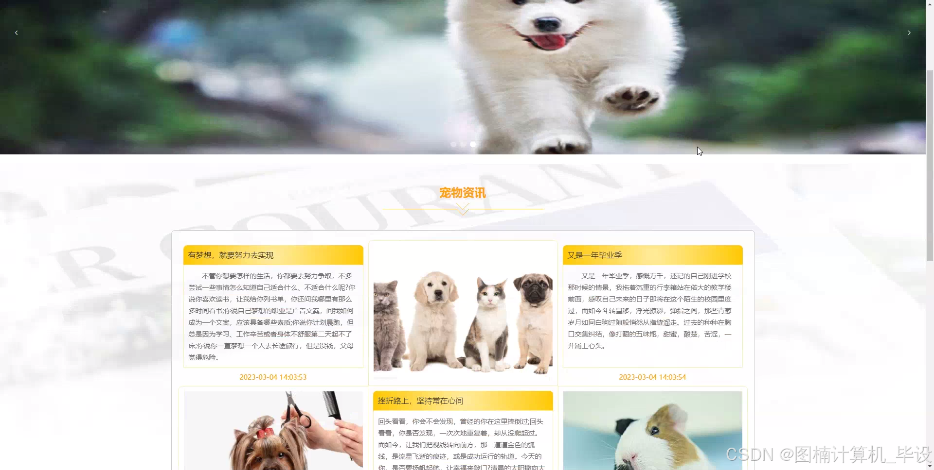 基于djangovuevue基于web的宠物领养管理系统的设计与实现【开题报告程序论文】 计算机毕设 Csdn博客