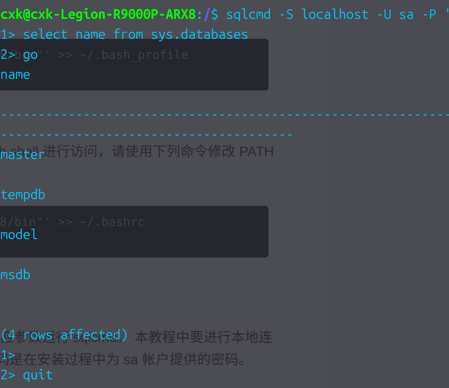 Ubuntu 24.04安装SQL Server（MSSQL）简单入门数据库_ubuntu安装mssql-CSDN博客