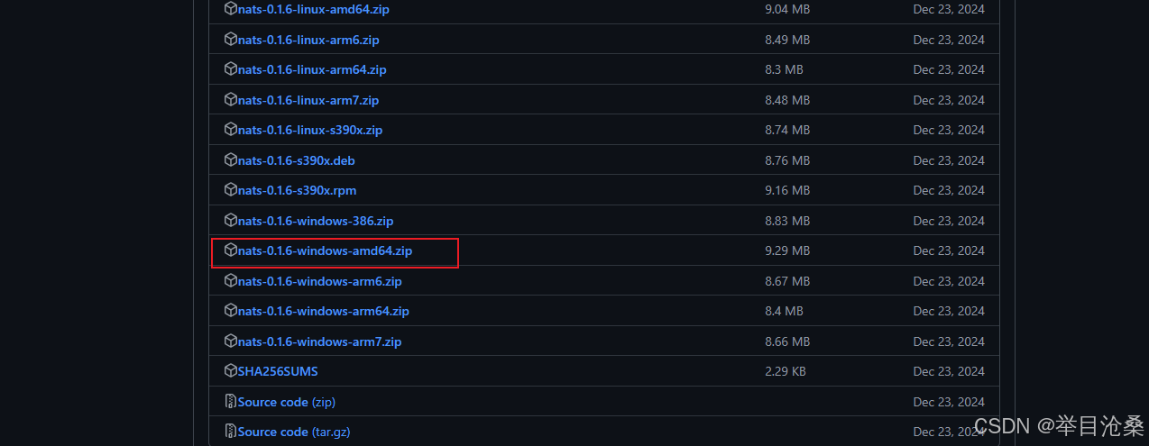 消息中间件 - 2.Nats_nats中间件-CSDN博客