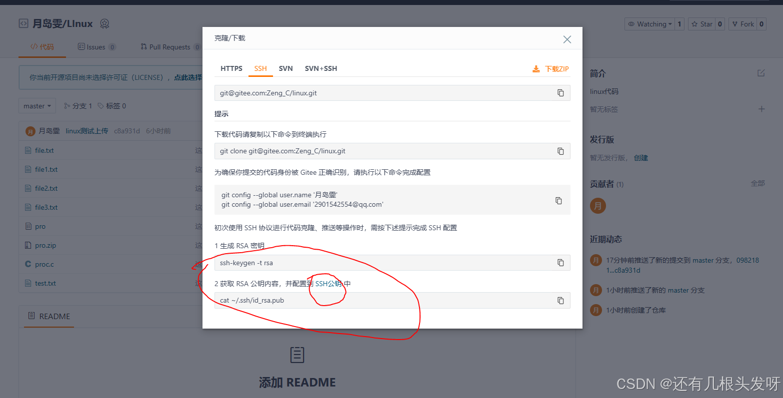 首次在 Linux 环境下使用 Git Ssh 认证上传代码的全流程指南linux Git Ssh Csdn博客