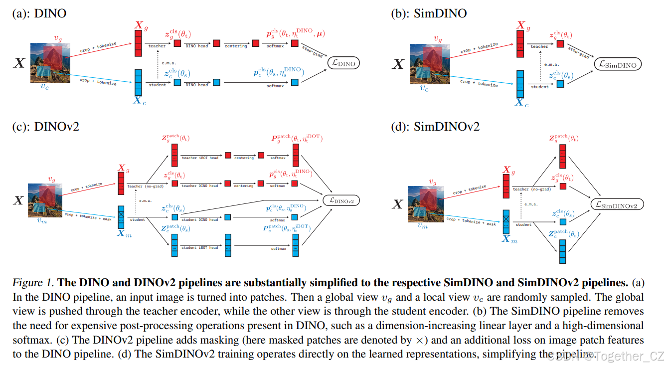 Simplifying DINO via Coding Rate Regularization——通过编码率正则化简化 DINO_simdino-CSDN博客