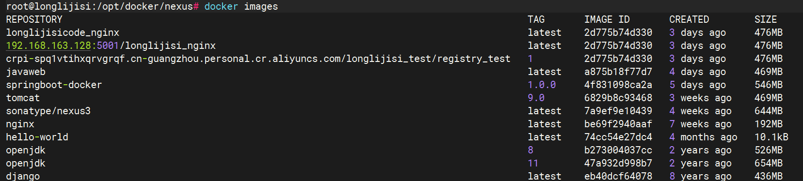 docker容器化部署nexus仓库搭建与配置_nexus配置docker镜像仓库-CSDN博客