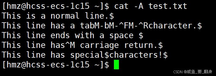 Linux基本命令篇 —— cat命令_linux cat-CSDN博客