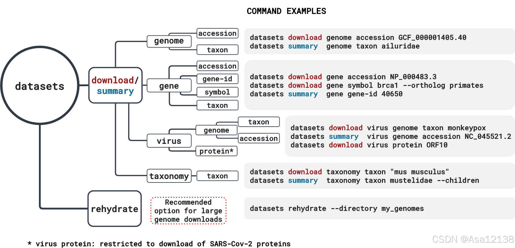 批量下载NCBI genome相关数据_datasets download genome-CSDN博客