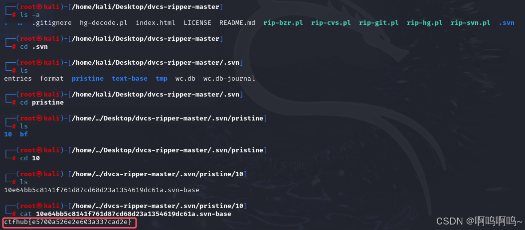 CTFHub技能树（一）Web-信息泄露_ctfhub目录遍历-CSDN博客