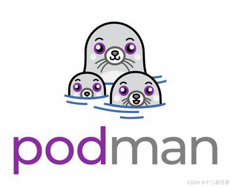 podman详细指南【含命令结果】_podman使用教程-CSDN博客