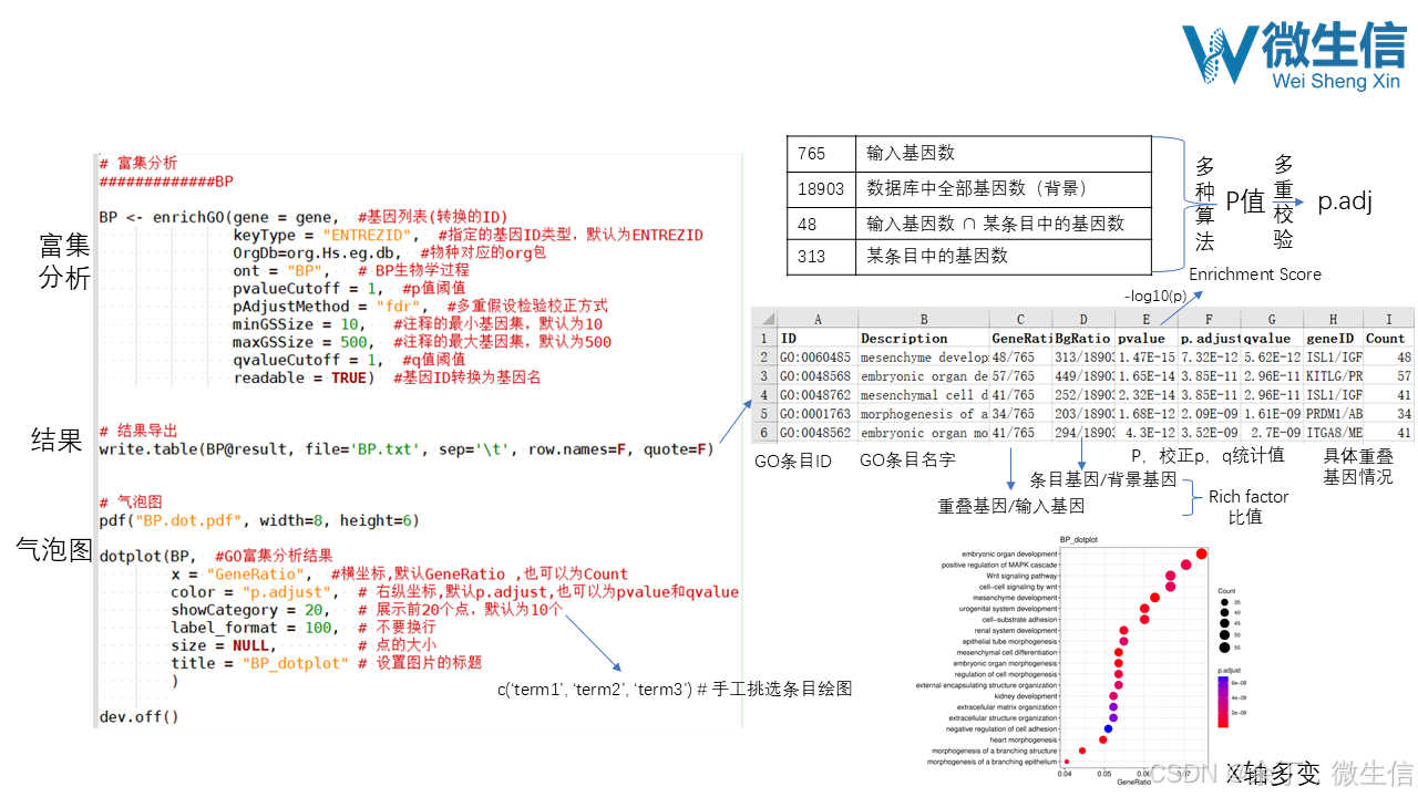 生信入门第十课：Clusterprofiler GO和KEGG富集分析R代码详解_生信go分析和kegg分析代码-CSDN博客