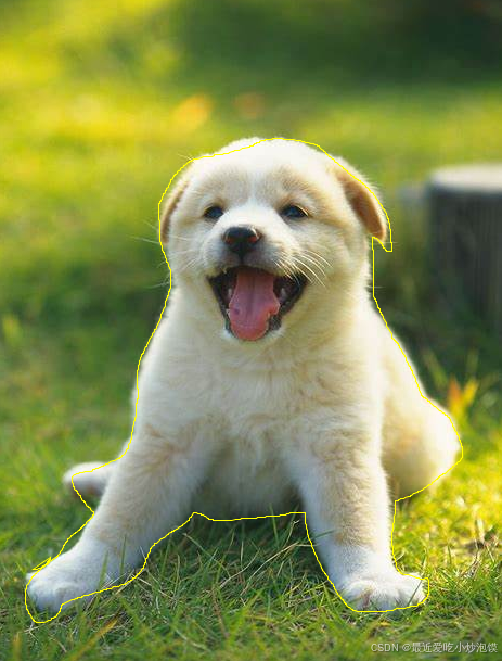 imageJ抠图、换背景颜色_imagej更换图像颜色-CSDN博客