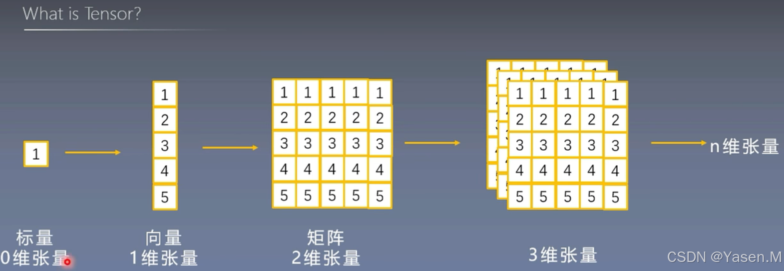 张量的介绍 About For Tensor Csdn博客