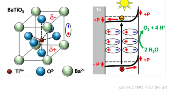钛酸钡BaTiO3纳米颗粒50nm立方相/四方相-CSDN博客
