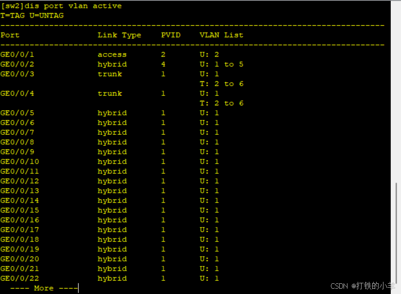 HCIP VLAN实验-CSDN博客
