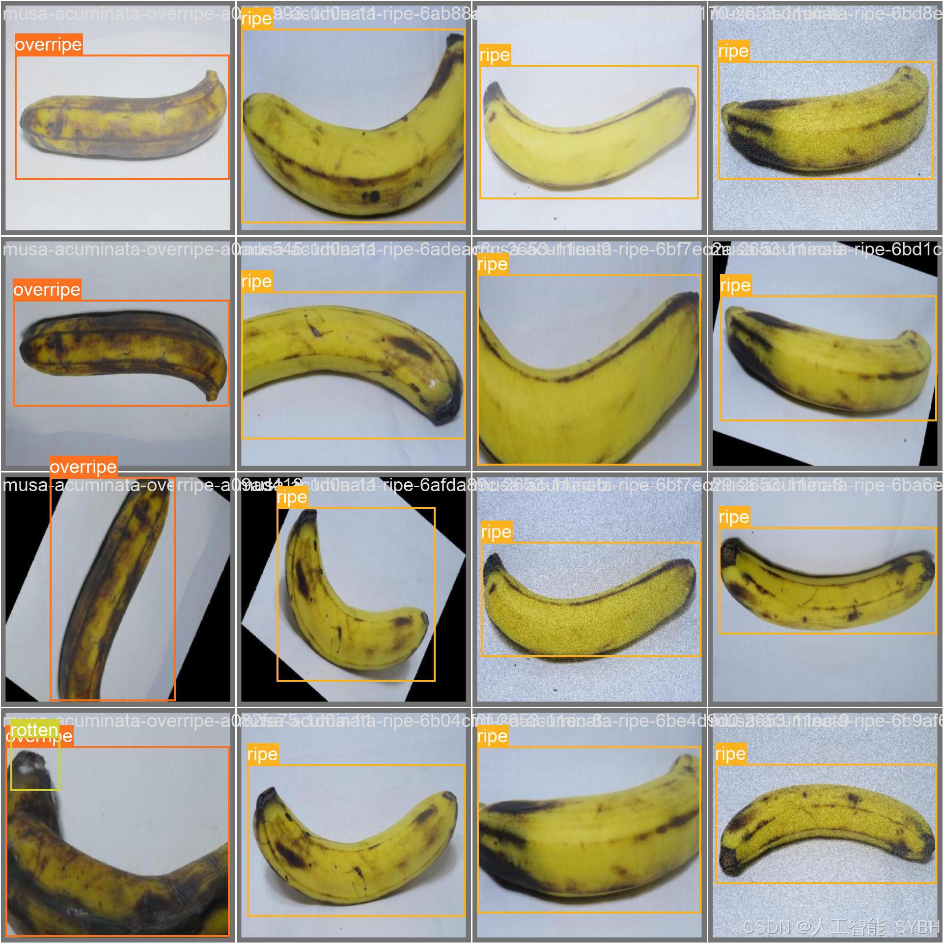 基于yolov10的香蕉成熟度检测系统（深度学习模型ui界面python代码训练数据集）基于yolov11的香蕉成熟度检测系统 Csdn博客