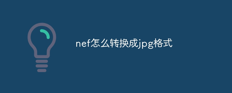 nef怎么转换成jpg格式_nef转换成jpg格式-CSDN博客