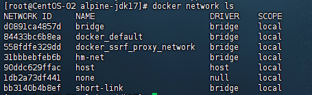用docker部署java前后端分离项目(超详细）_openjdk:17-jdk-alpine-CSDN博客
