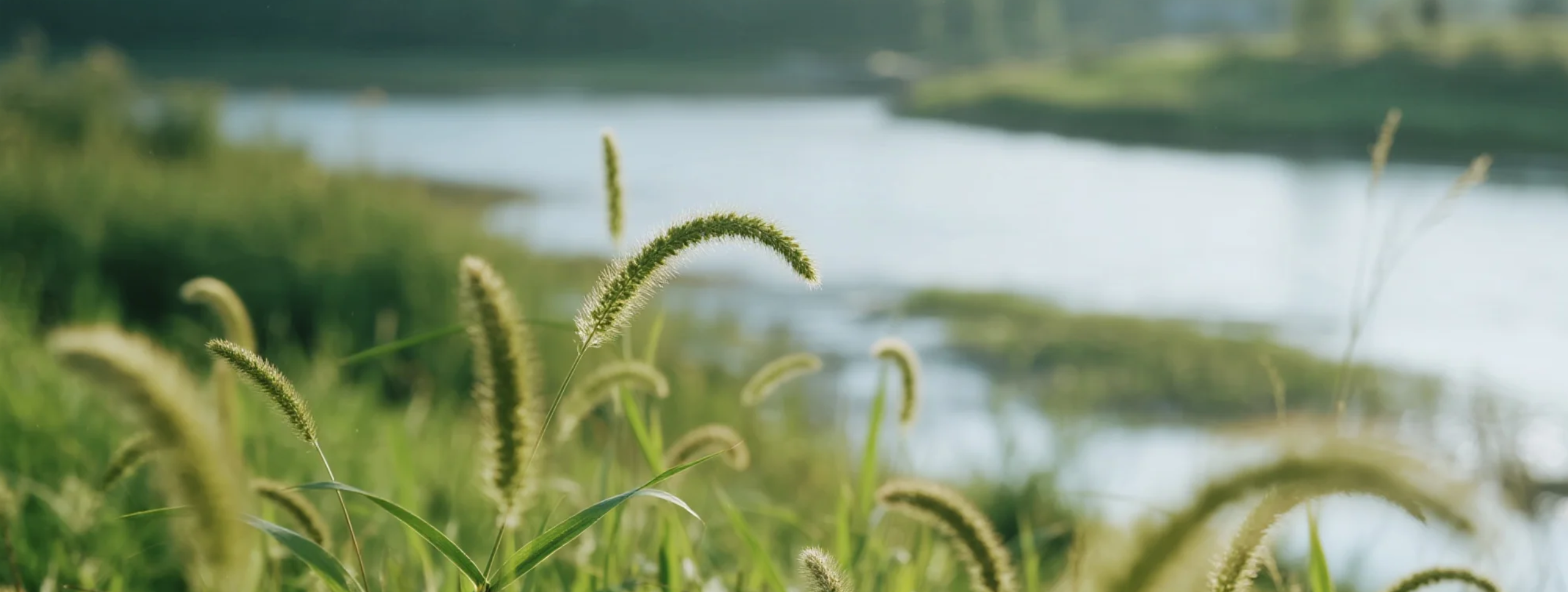 HDMI GC_PACKET和INFO_FRAME的区别浅谈 - 技术栈