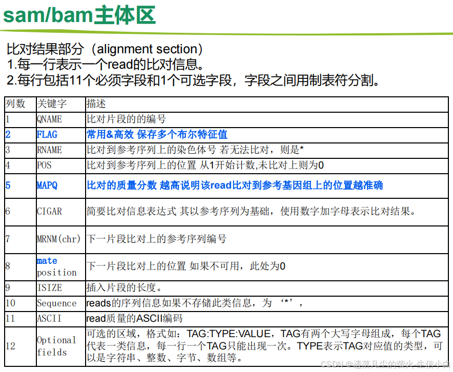03-转录组上游分析-比对、定量_转录组比对基因组sam文件-CSDN博客