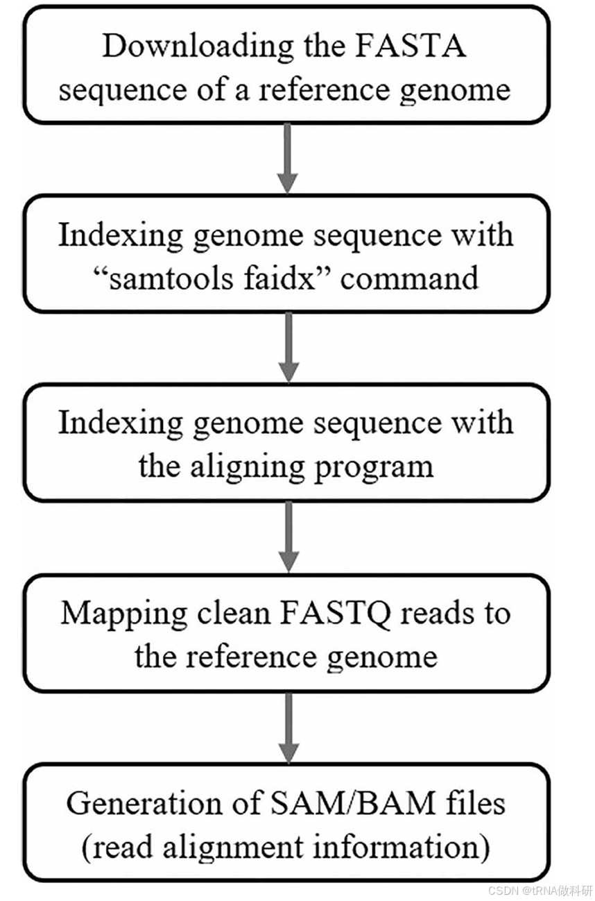 计算生物学与生物信息学漫谈-6-序列比对-BAM/SAM详解_序列比对sm和nm的区别-CSDN博客