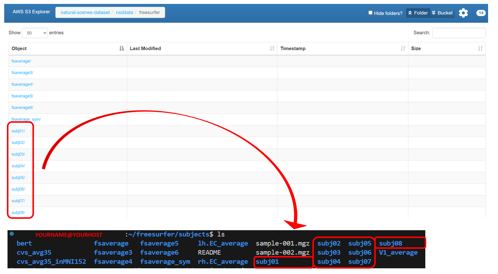 如何对NSD数据集使用Pycortex进行可视化？-CSDN博客