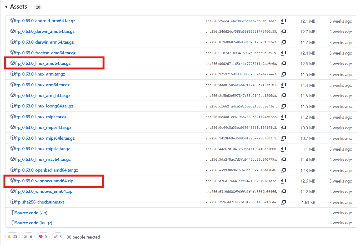 新版frp 内网穿透 （linux+windows）+bash脚本_frp 下载-CSDN博客